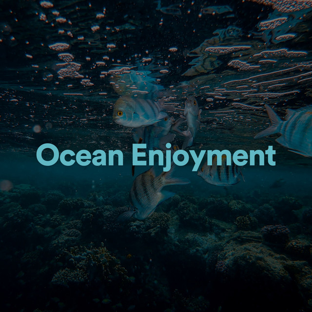 Ocean Enjoyment - Album by Sea Waves Sounds | Spotify