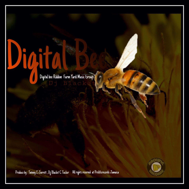 DIGITAL B RIDDIM - EP by DJ Blacket Music | Spotify