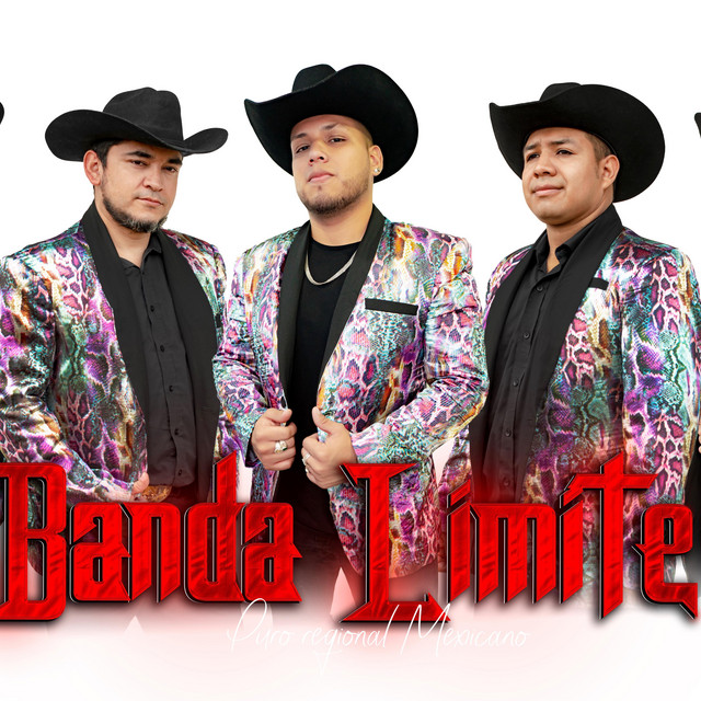 No Pude Olvidarte - Single by Banda Limite Oficial | Spotify