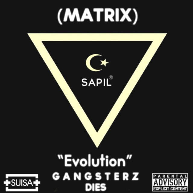 Matrix Evolution - Album by Roko Sapil | Spotify