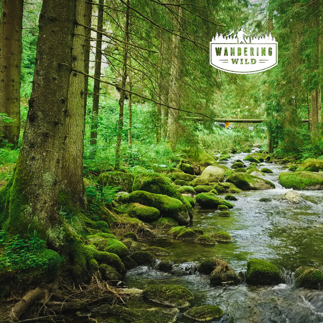 Deep Forest Bubbling Stream - Single by Wandering Wild | Spotify