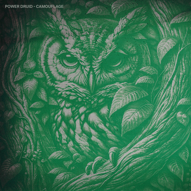 Camouflage - song and lyrics by Power Druid | Spotify