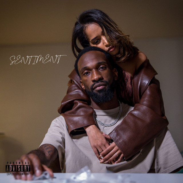Sentiment - Single by Mwenga | Spotify