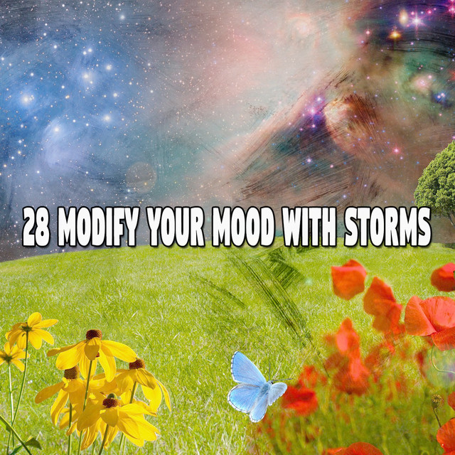 28 Modify Your Mood With Storms - Album by Weather Factory | Spotify