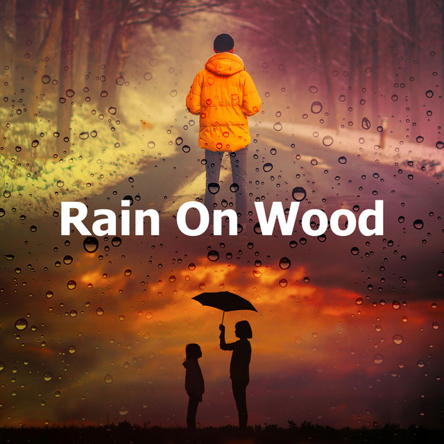 Sleet Sounds - song and lyrics by Heavy Rain Sounds | Spotify