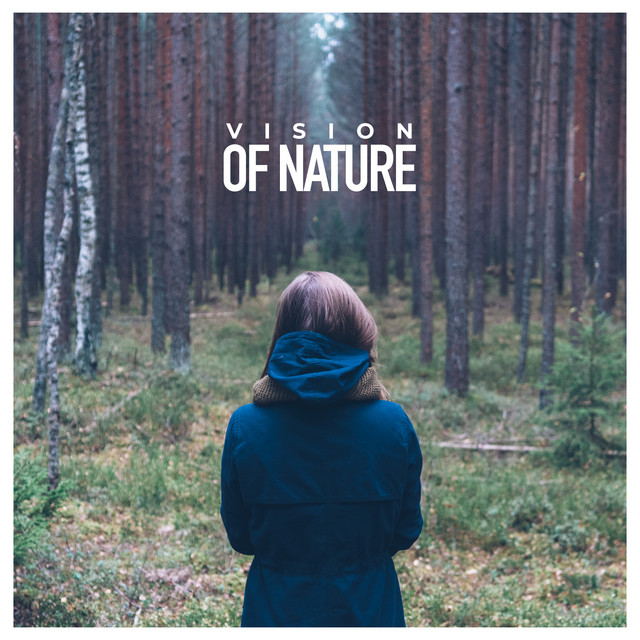 Vision of Nature - Album by Musica Para Estudiar Academy | Spotify
