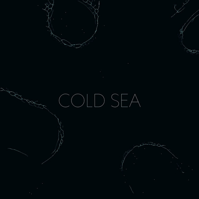 Cold Sea - Single by Eli Wolff | Spotify