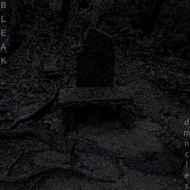 bleak - song and lyrics by dmncles | Spotify