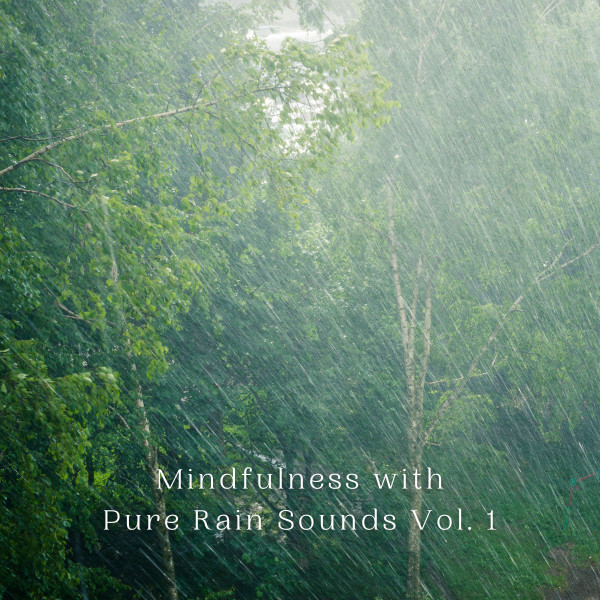 Mindfulness with Pure Rain Sounds Vol. 1 - Album by Outdoor Field ...