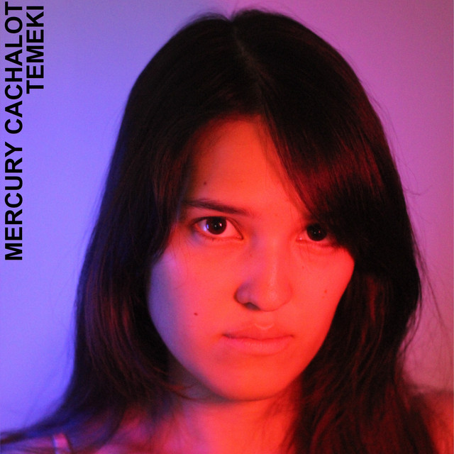Temeki - Single by Mercury Cachalot | Spotify