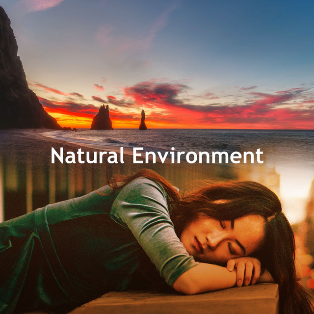Natural Environment - Album by Nature & Sounds Backgrounds | Spotify