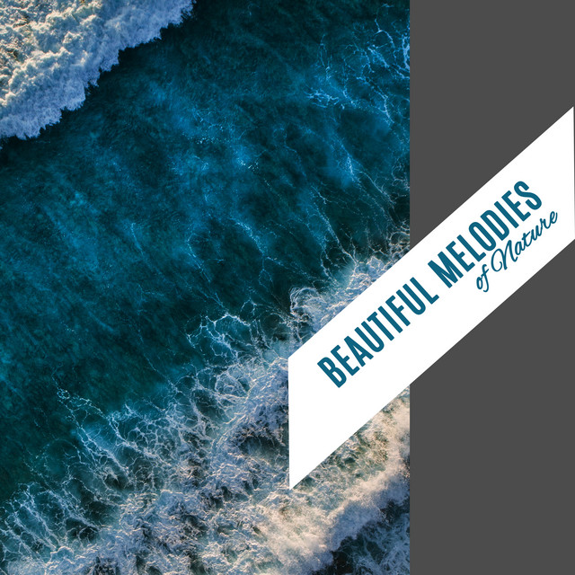 Beautiful Melodies of Nature: Collection of Relaxation New Age Music ...