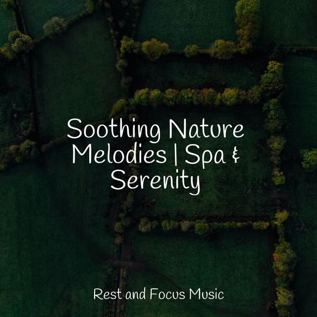 Soothing Nature Melodies | Spa & Serenity - Album by Yoga Sounds | Spotify