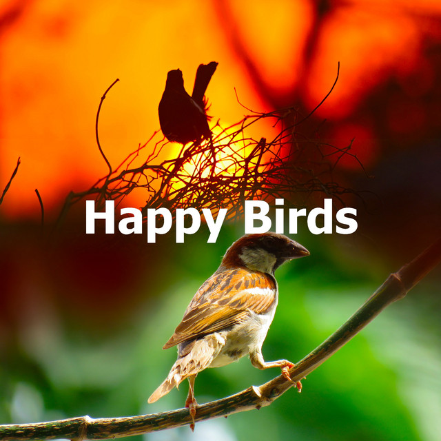 Happy Birds - Album by Singing Birds | Spotify