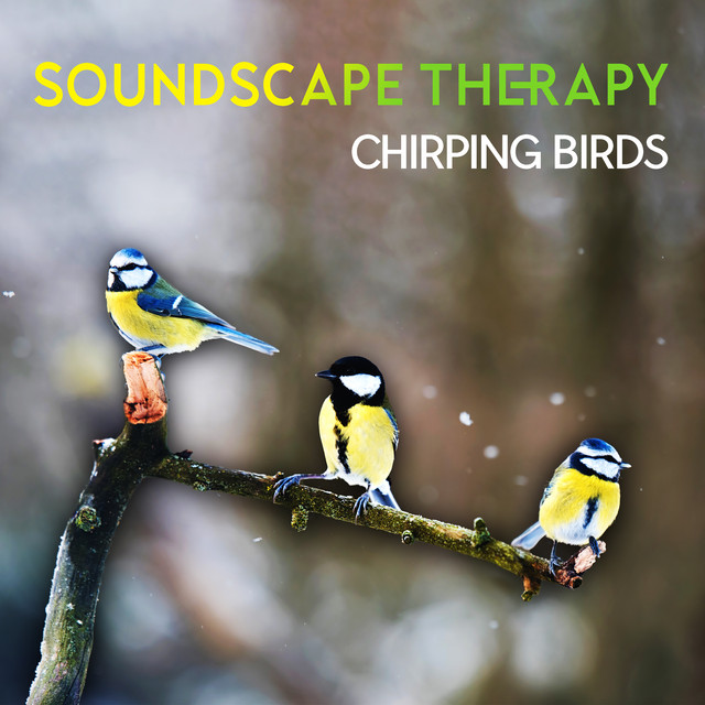 Soundscape Therapy: Chirping Birds, Music with Bird Song to Reduce the ...