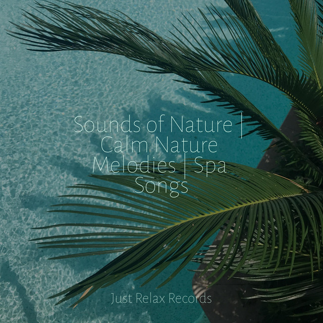 Sounds of Nature | Calm Nature Melodies | Spa Songs - Album by Spa ...