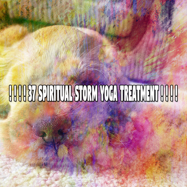 37 Spiritual Storm Yoga Treatment ! ! ! ! - Album by Rain Sounds XLE ...