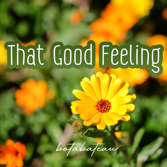 That Good Feeling - Single by Botabateau | Spotify