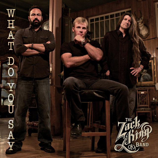 What Do You Say - Single by Zack King | Spotify