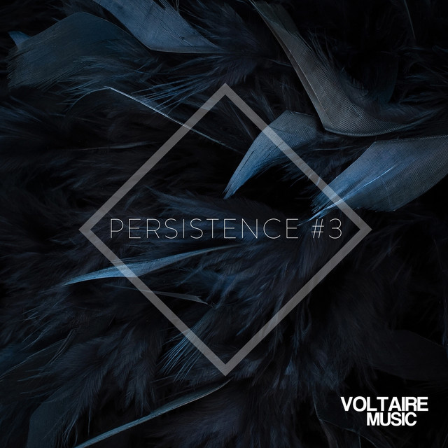 Voltaire Music Pres. Persistence #3 - Compilation by Various Artists ...