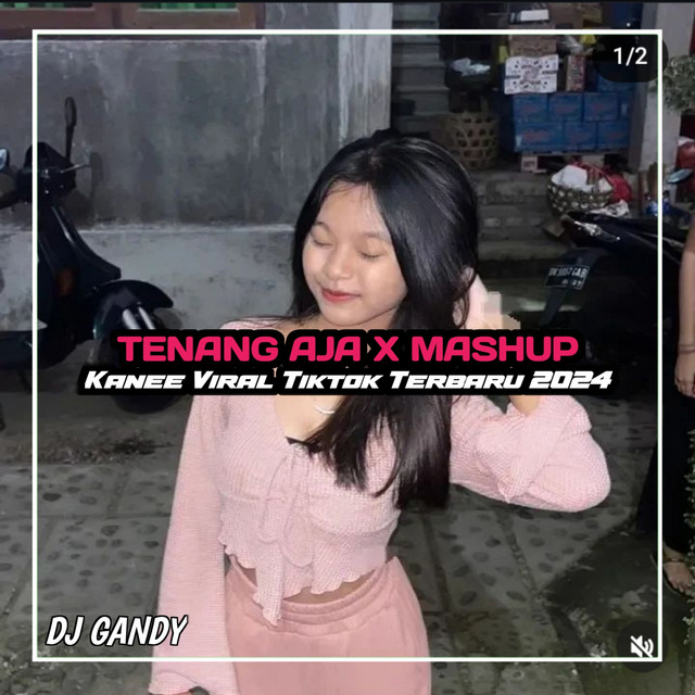 DJ Tenang Aja X Mashup - DJ Gandy - song by DJ Gandy | Spotify