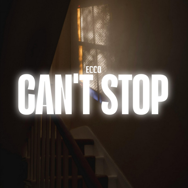 Can't Stop - song and lyrics by Ecco | Spotify