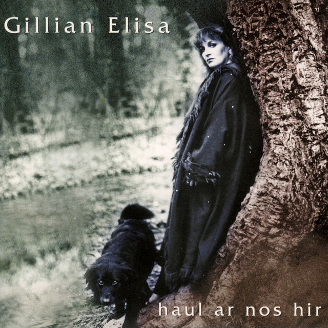 Hen Ffrindie - song and lyrics by Gillian Elisa | Spotify