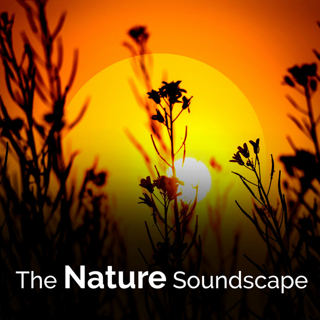The Nature Soundscape ! ! ! ! ! - Album by Sonidos de la Naturaleza ...