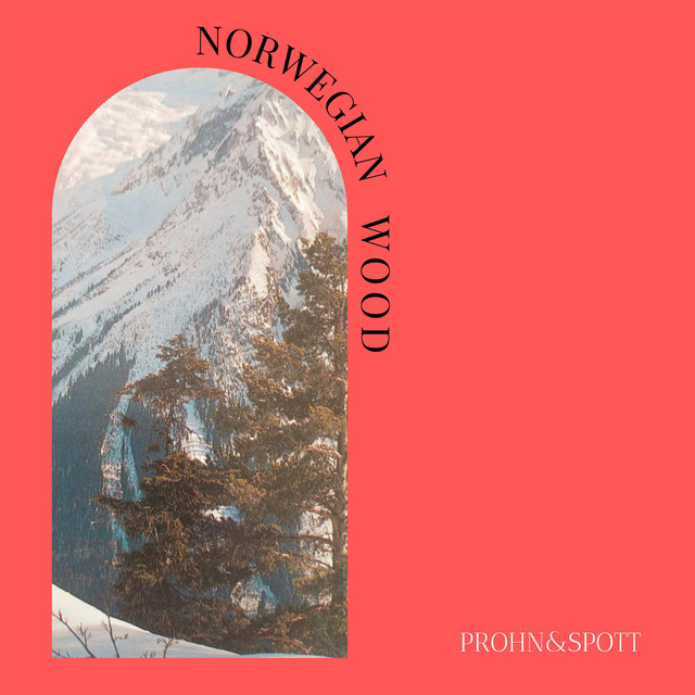 Norwegian Wood - Single by Prohn & Spott | Spotify