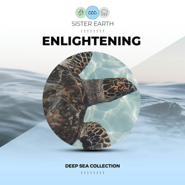 Enlightening Deep Sea Collection ! ! ! ! ! ! ! ! - Album by Sleep Waves |