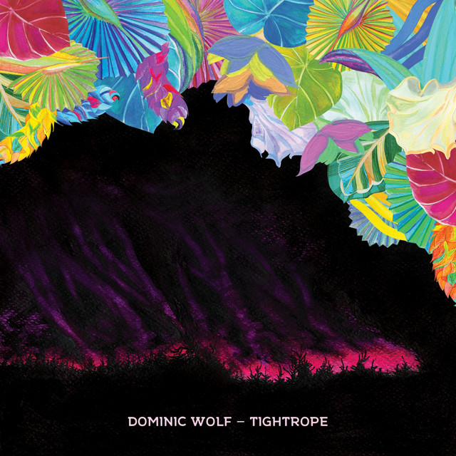 Tightrope - song and lyrics by Dominic Wolf | Spotify