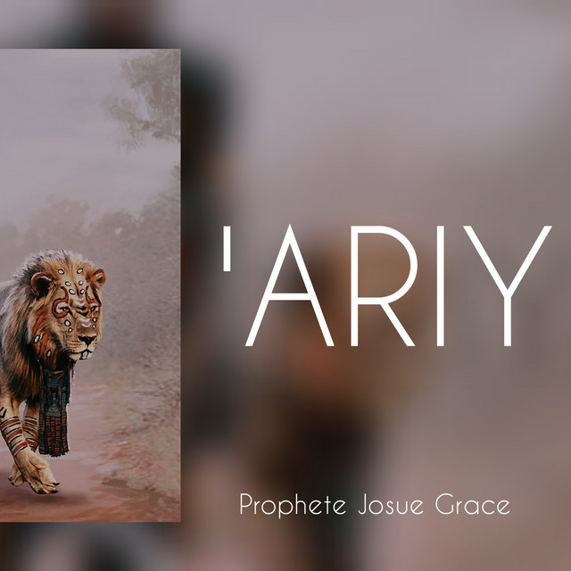 'Ariy - Single by Josue Grace | Spotify