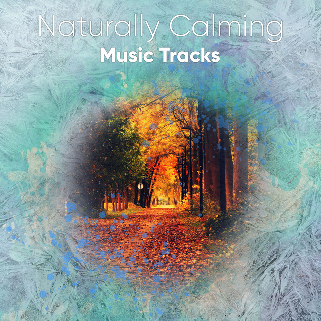Deep Sleep Music Collective, Sleepy Night Music, Sleepy Times | Spotify