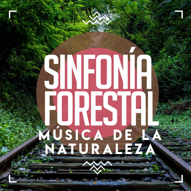 Windy Day Birdsong - song and lyrics by Música de la Naturaleza | Spotify