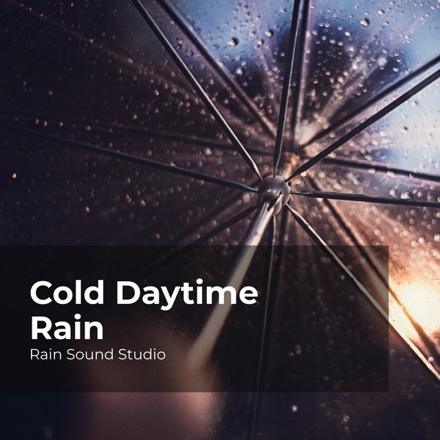 Cold Daytime Rain - Album by The Rain Library | Spotify
