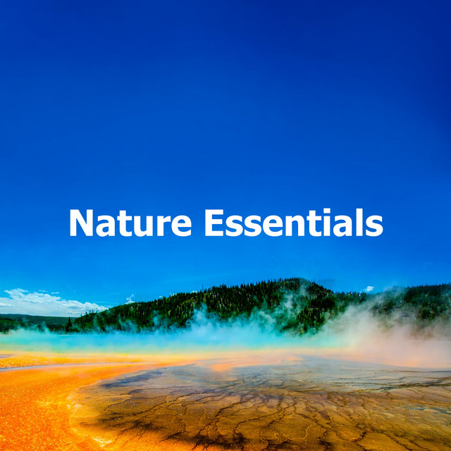Nature Essentials - Album by Nature Queen | Spotify