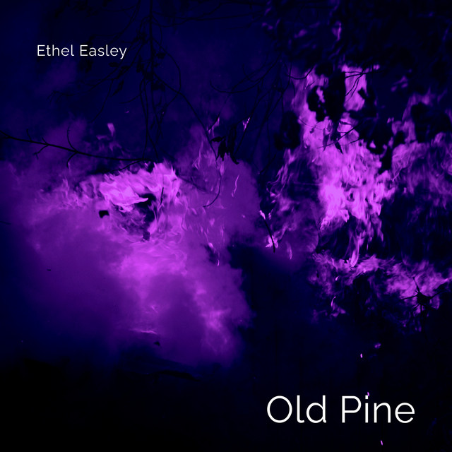 Calm Down With Gravity - song and lyrics by Ethel Easley | Spotify