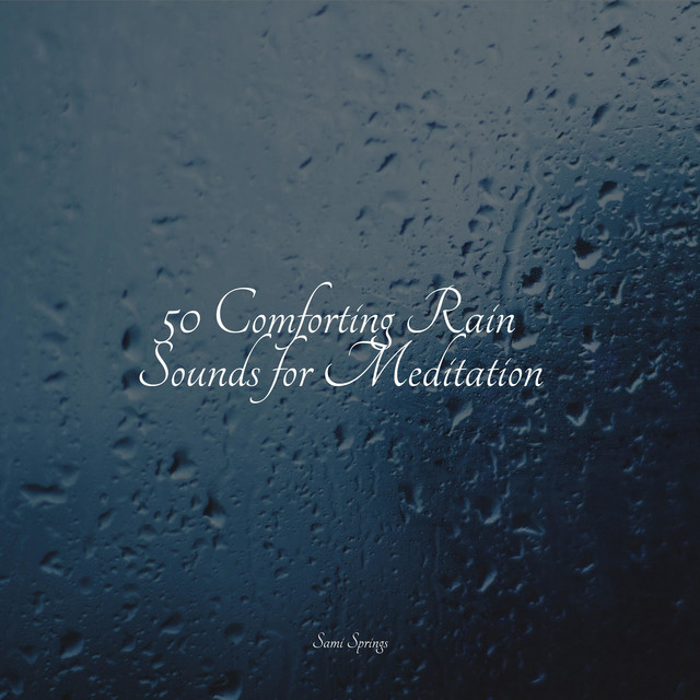 50 Comforting Rain Sounds for Meditation - Album de Relaxing Spa Music ...