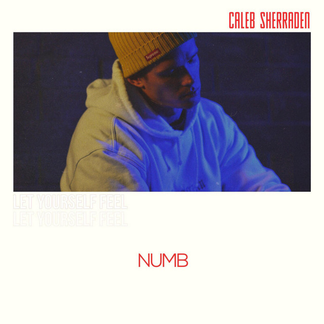 Numb - Single by Caleb Sherraden | Spotify