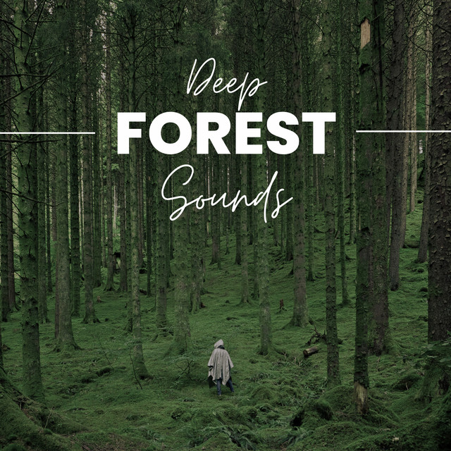 Deep Forest Sounds - Album by Natural Sounds | Spotify