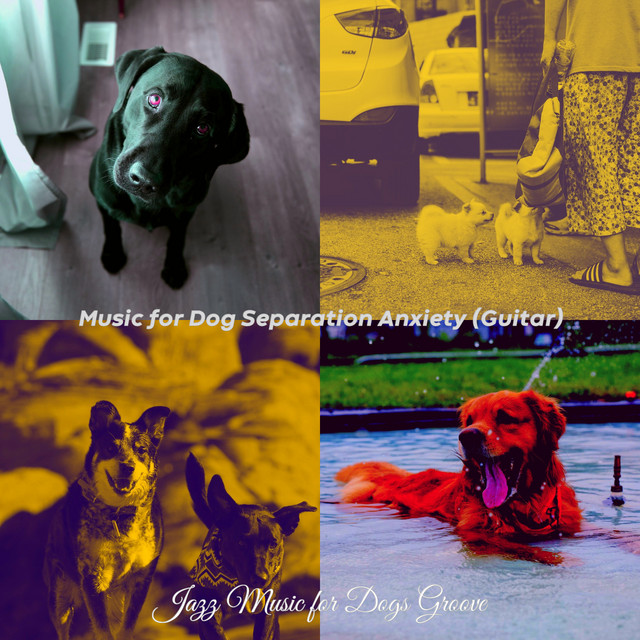 Music for Dog Separation Anxiety (Guitar) - Album by Jazz Music for ...