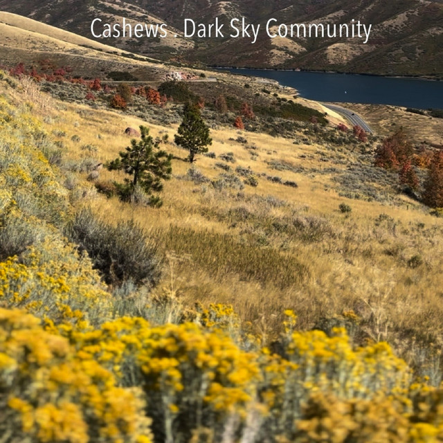 Cashews - Album by Dark Sky Community | Spotify