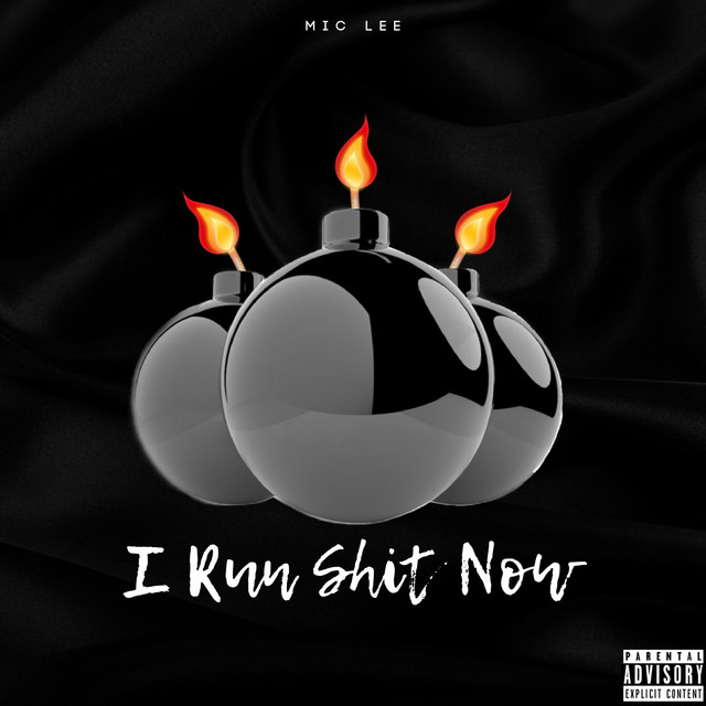 I Run Shit Now - Single by Mic Lee | Spotify