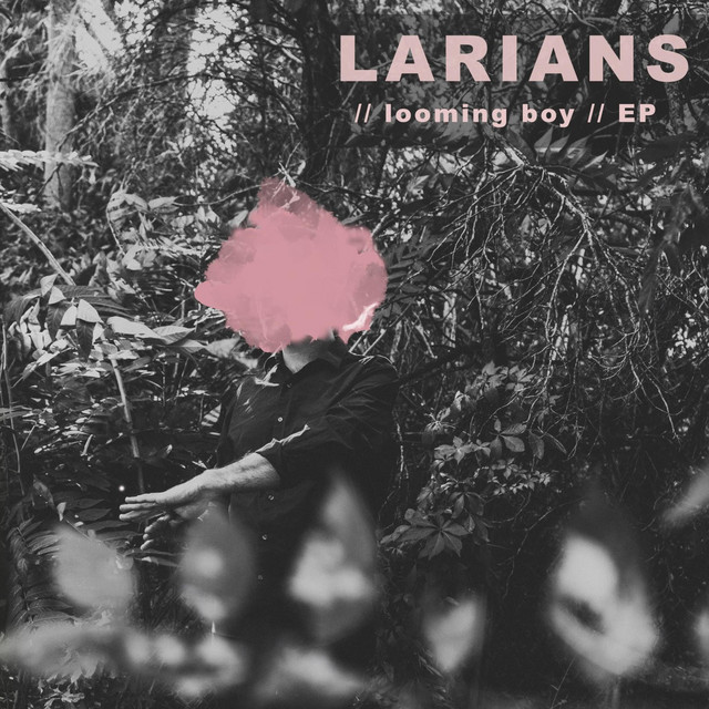 Larians | Spotify