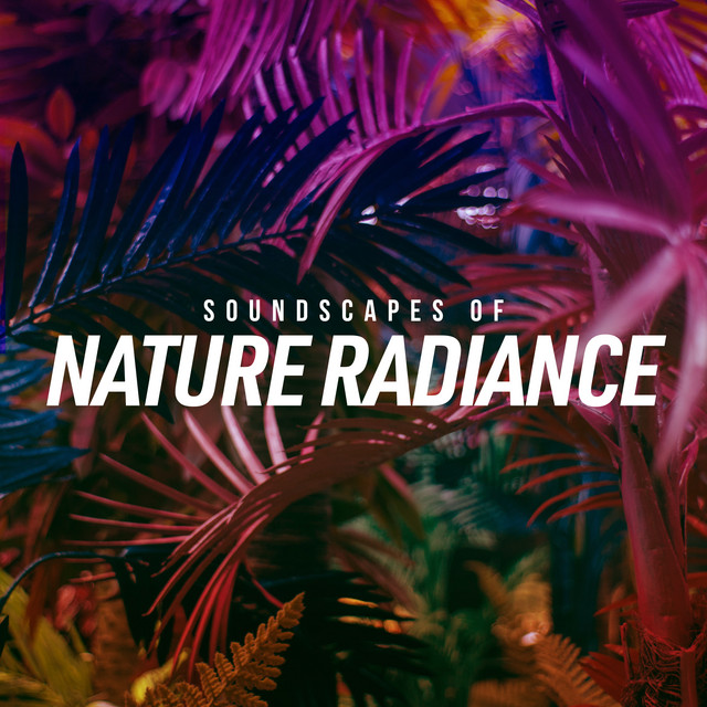 Soundscapes of Nature Radiance - Album by Nature Soundscapes | Spotify