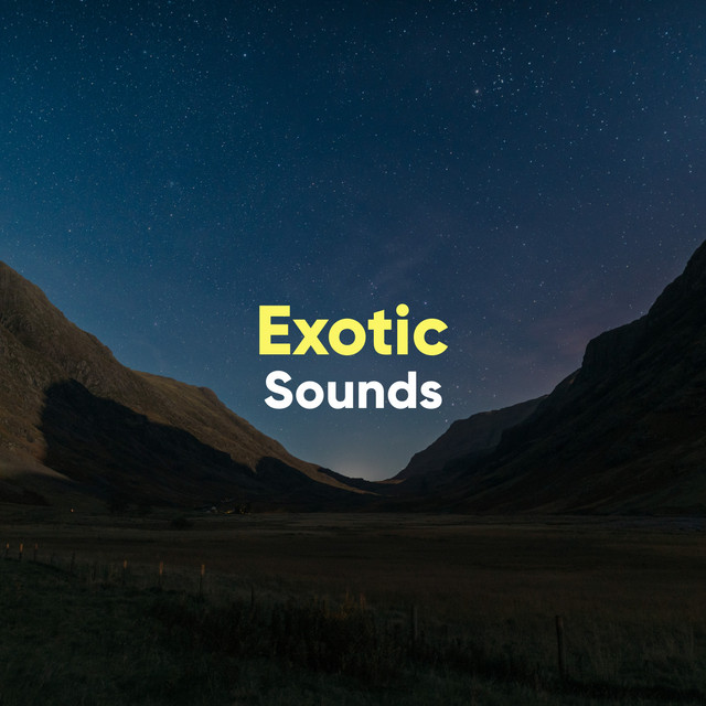# 1 Album: Exotic Sounds - Compilation by Various Artists | Spotify