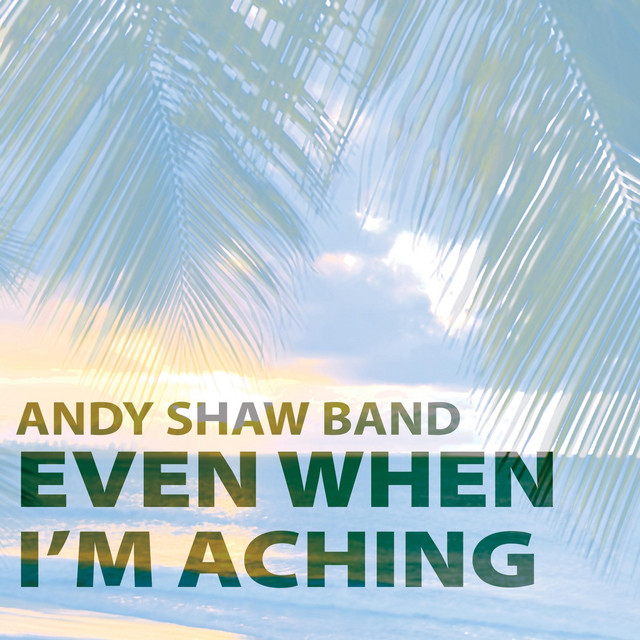 Andy Shaw Band - Songs, Events and Music Stats | Viberate.com
