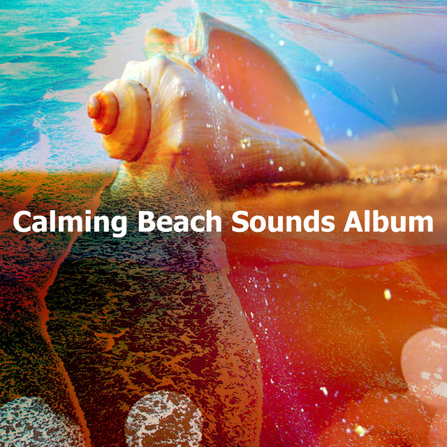 Sunny Beach Front - song and lyrics by Beach Sounds | Spotify