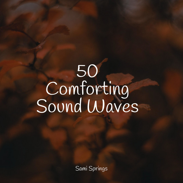 50 Comforting Sound Waves - Album by Spa Relaxation | Spotify