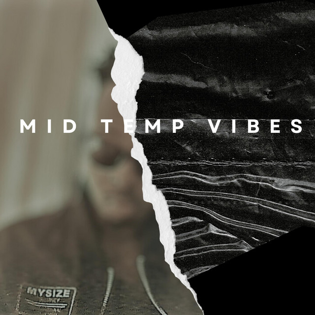 Mid Temp Vibes (Afro Jazz King) - song and lyrics by Dkalebeatz | Spotify